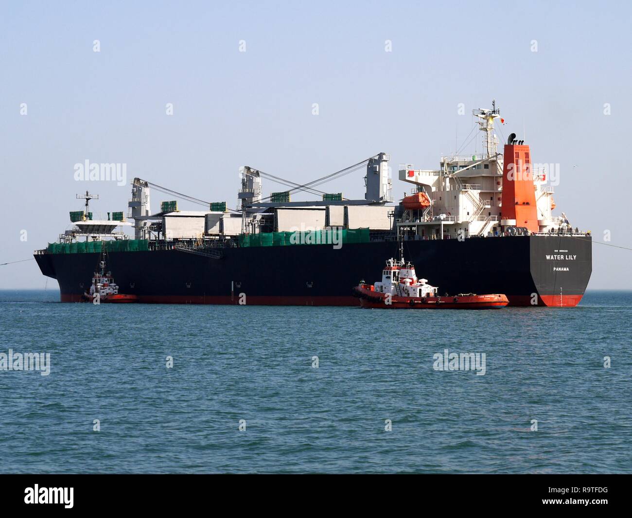 Wood Chip Carrier Stock Photo - Alamy
