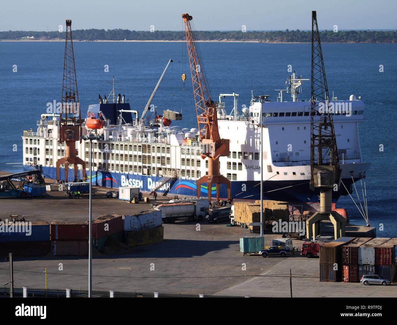 Livestock carrier hi-res stock photography and images - Alamy