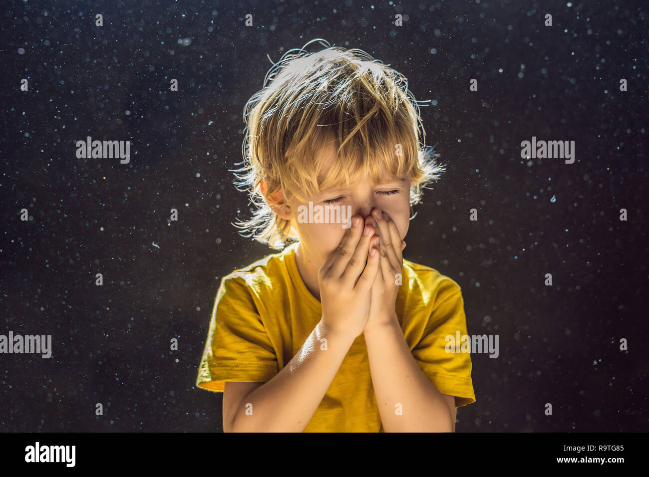 Dust flies hi-res stock photography and images - Alamy