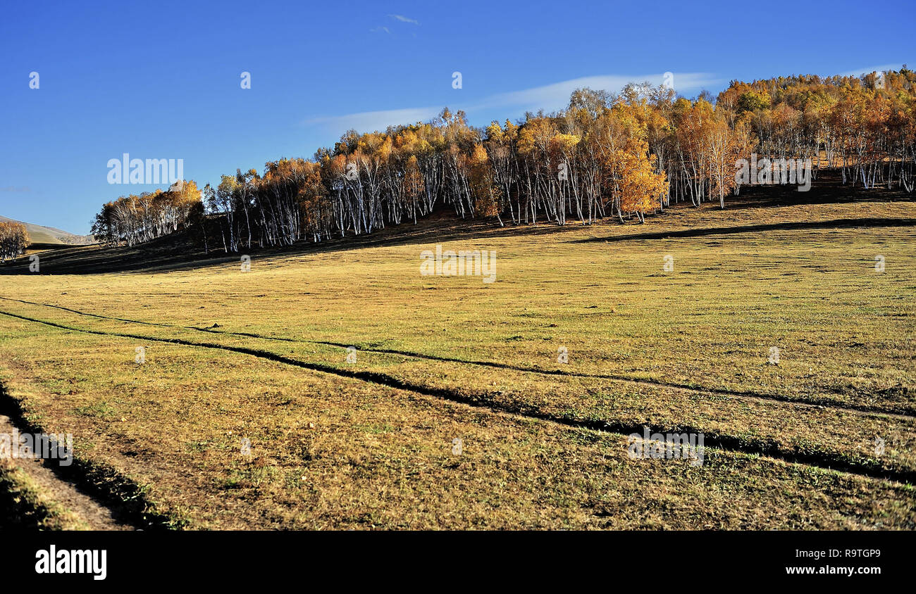 Late autumn in Inner Mongolia Stock Photo - Alamy