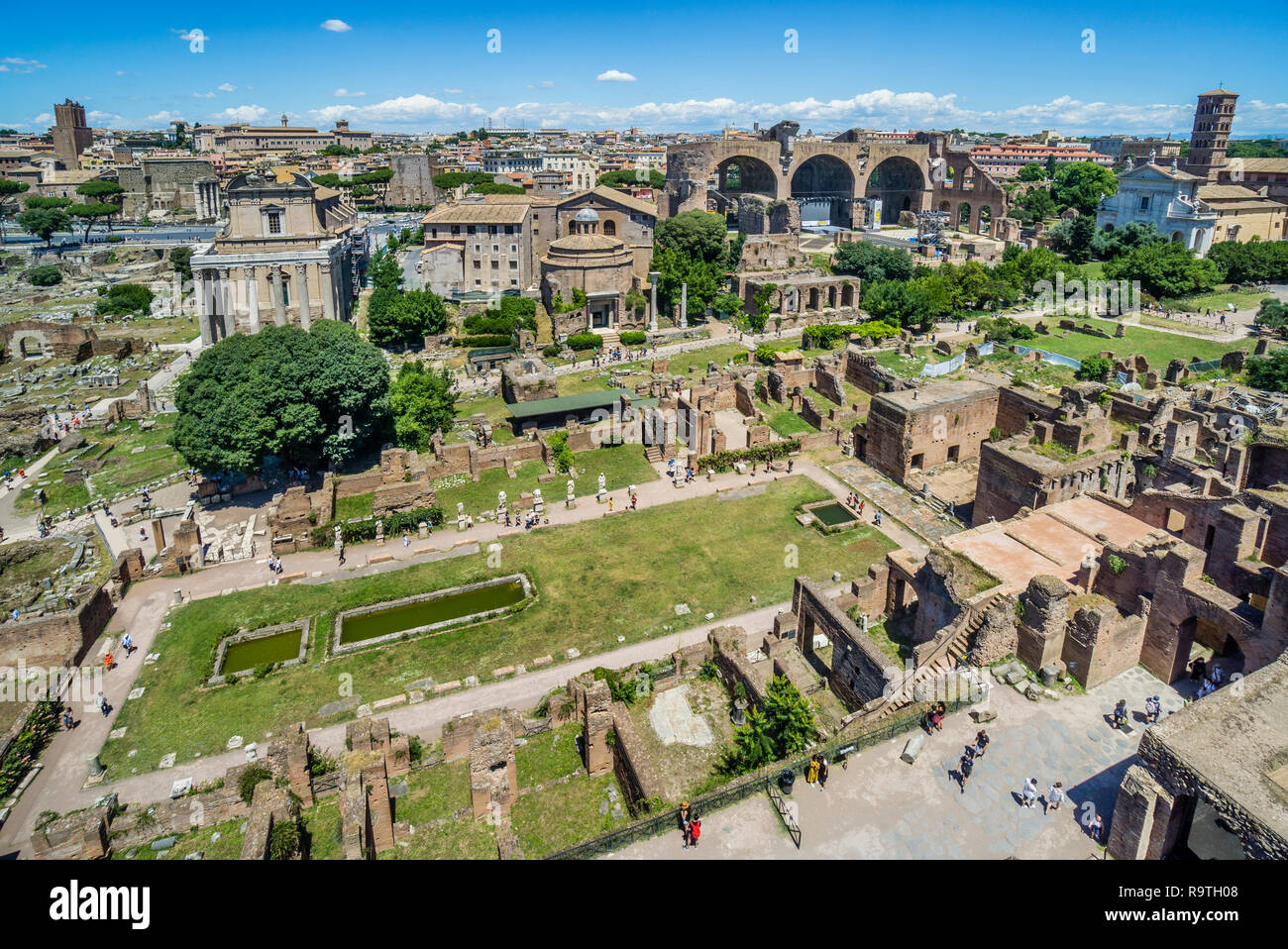 the Roman Forum with view of the remains of the House of the Vestals ...