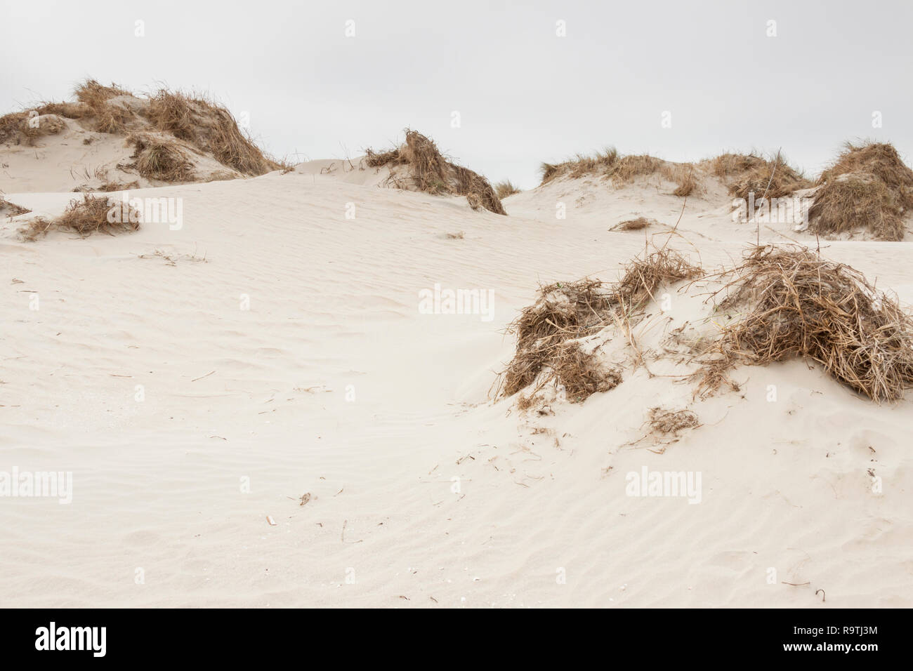 Beach on Romo Island. Denmark, Europe Stock Photo - Alamy
