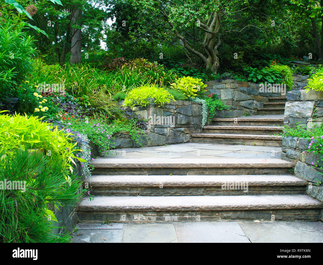 Flagstone garden pathway hi-res stock photography and images - Alamy