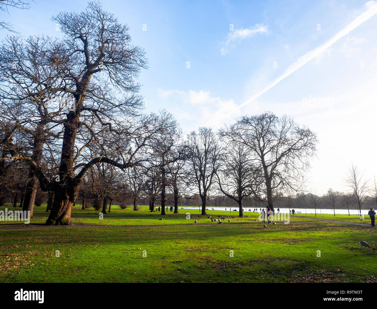 Chelsea park gardens hi-res stock photography and images - Alamy