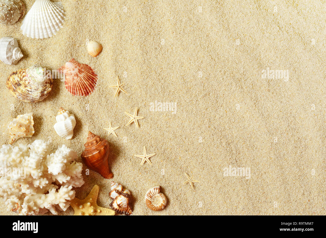Sea shells with sand as background. Summer beach Stock Photo - Alamy