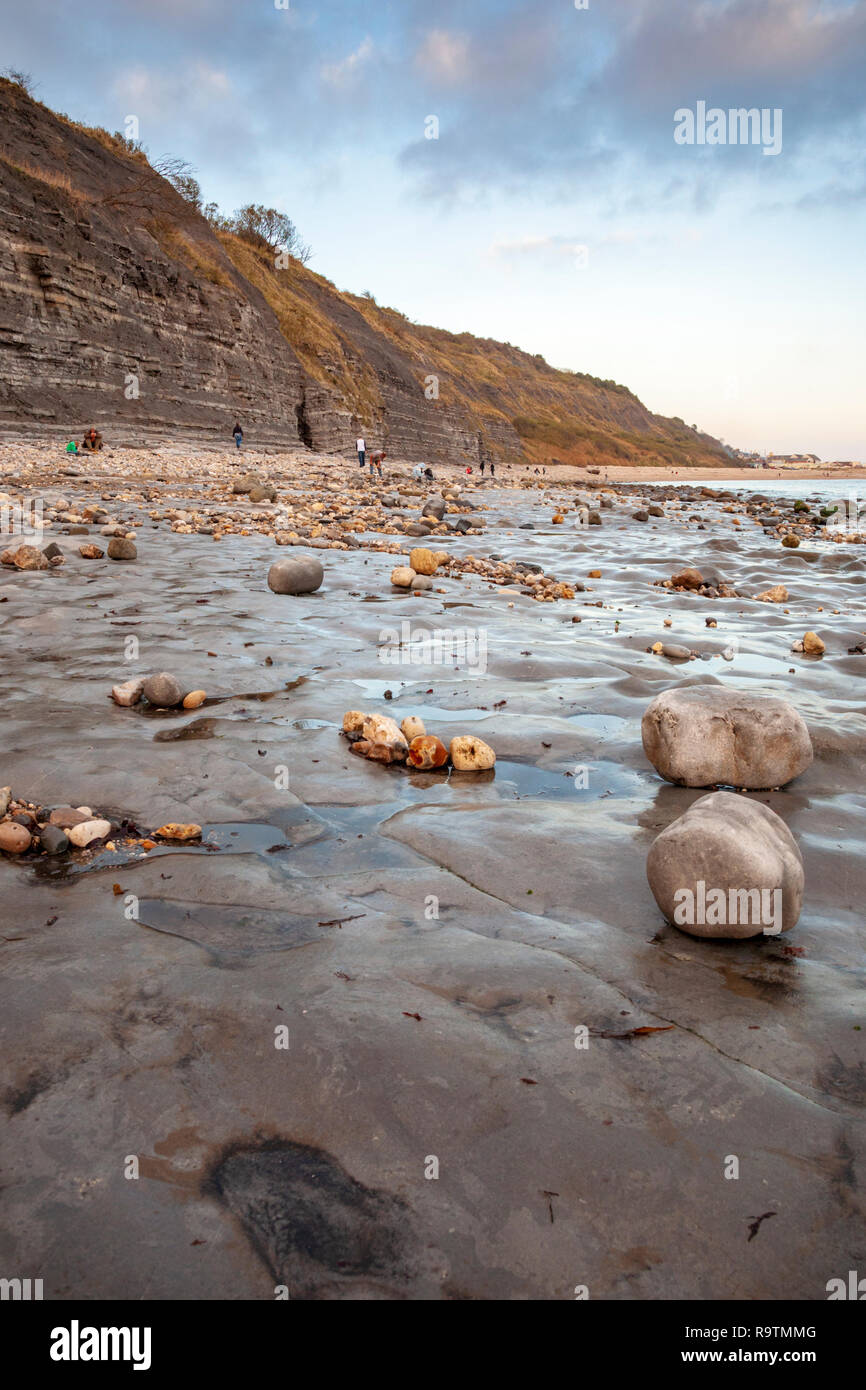 The Ammonite pavement and cliffs on Monmouth Beach at Lyme Regis ...