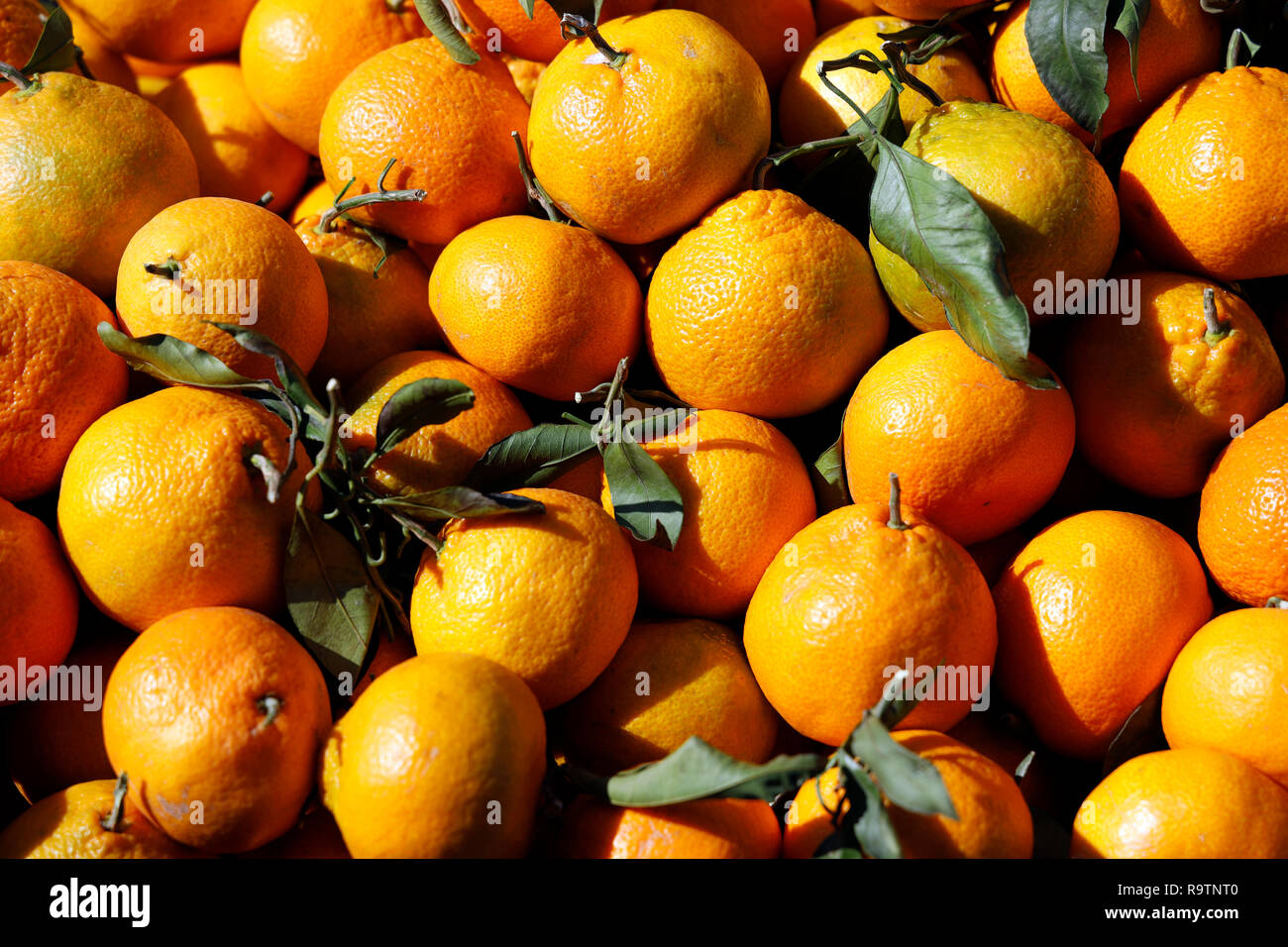 Oranges pattern hi-res stock photography and images - Alamy