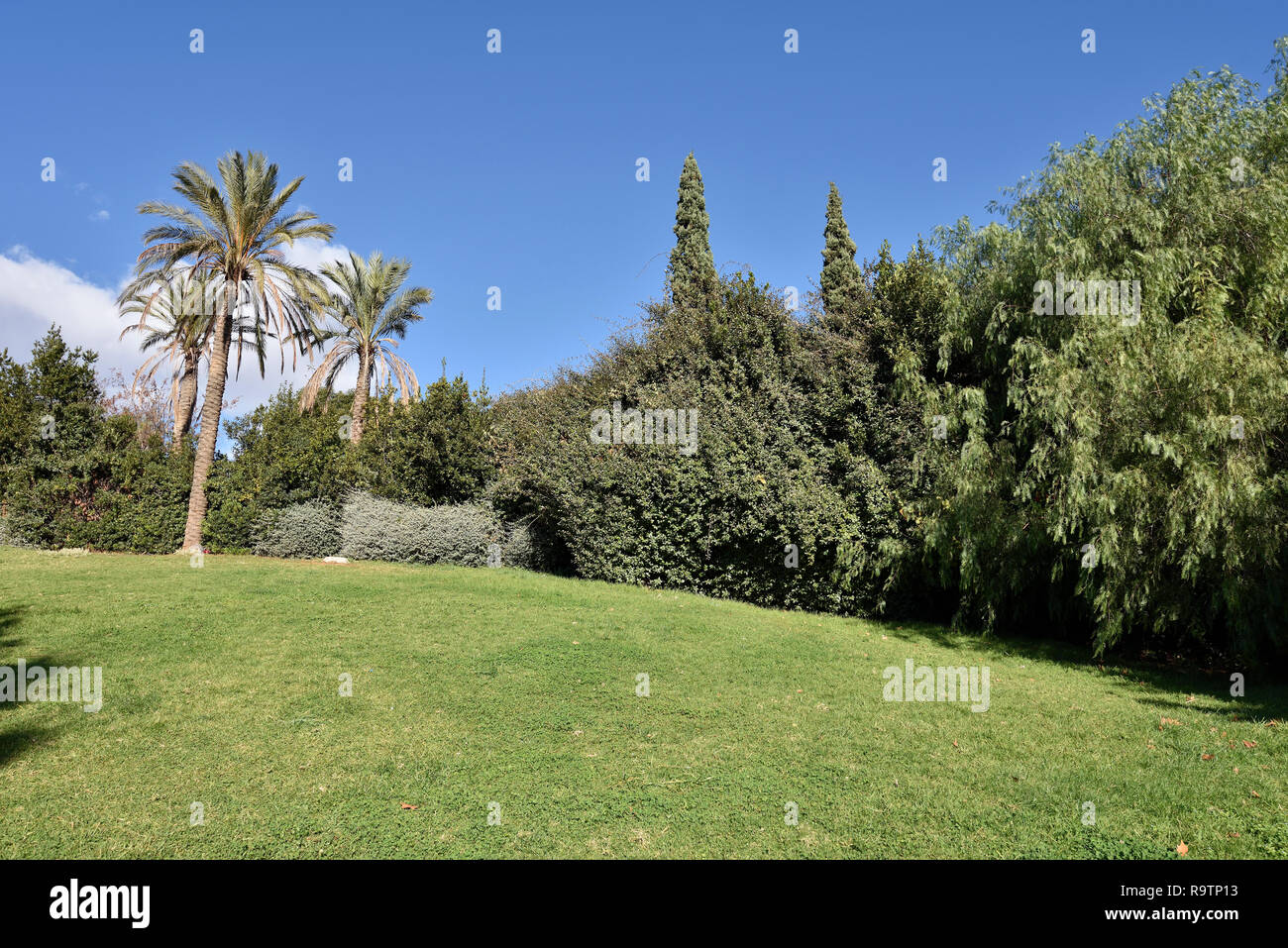 Freedom Park in Athens, Greece Stock Photo - Alamy