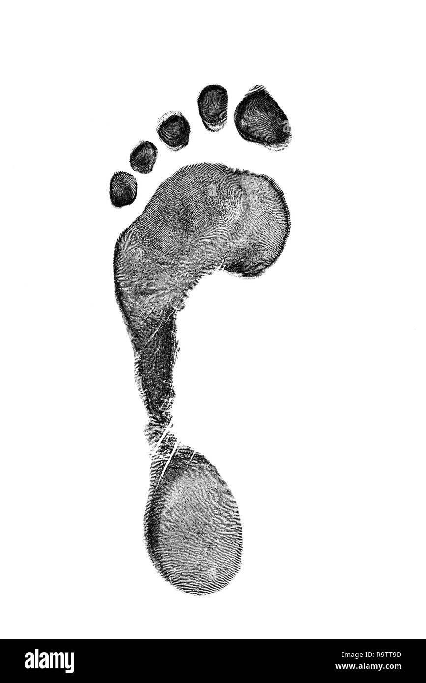 Black prints of feet on transparent paper. Black footprint. Isolated on ...
