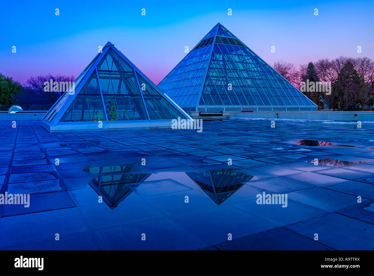 Muttart Conservatory pyramids, a Botanical Garden in Edmonton, Alberta ...