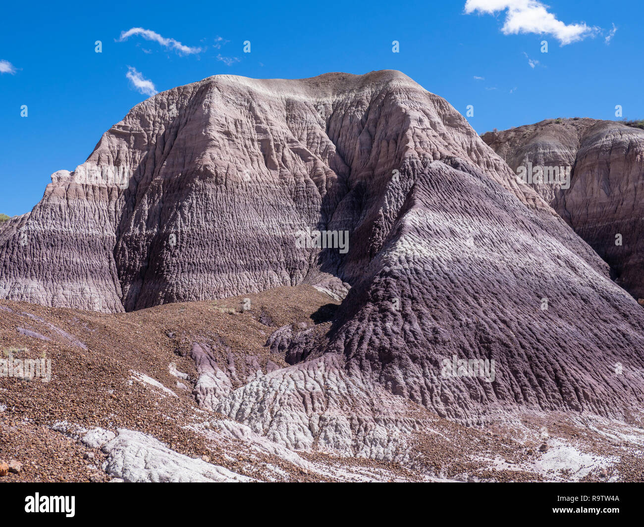 Blue Mesa Badlands from the Blue Forest Loop Trail, Petrified Forest ...