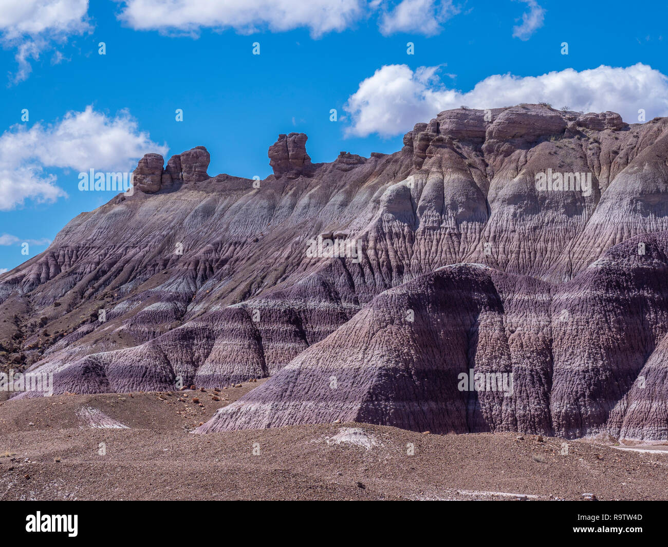 Blue Mesa Badlands from the Blue Forest Loop Trail, Petrified Forest ...