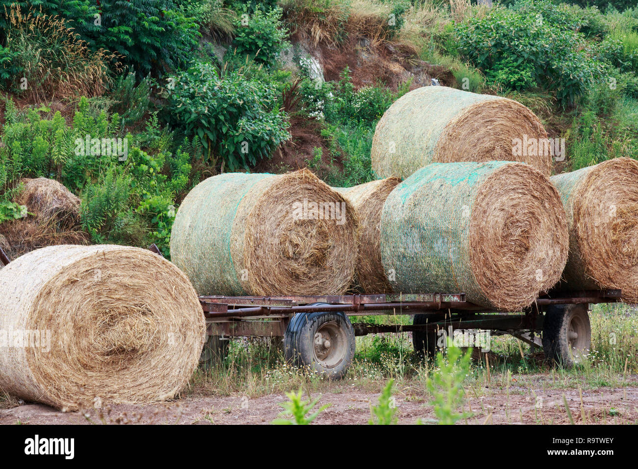 Hay bales on truck on hi-res stock photography and images - Alamy