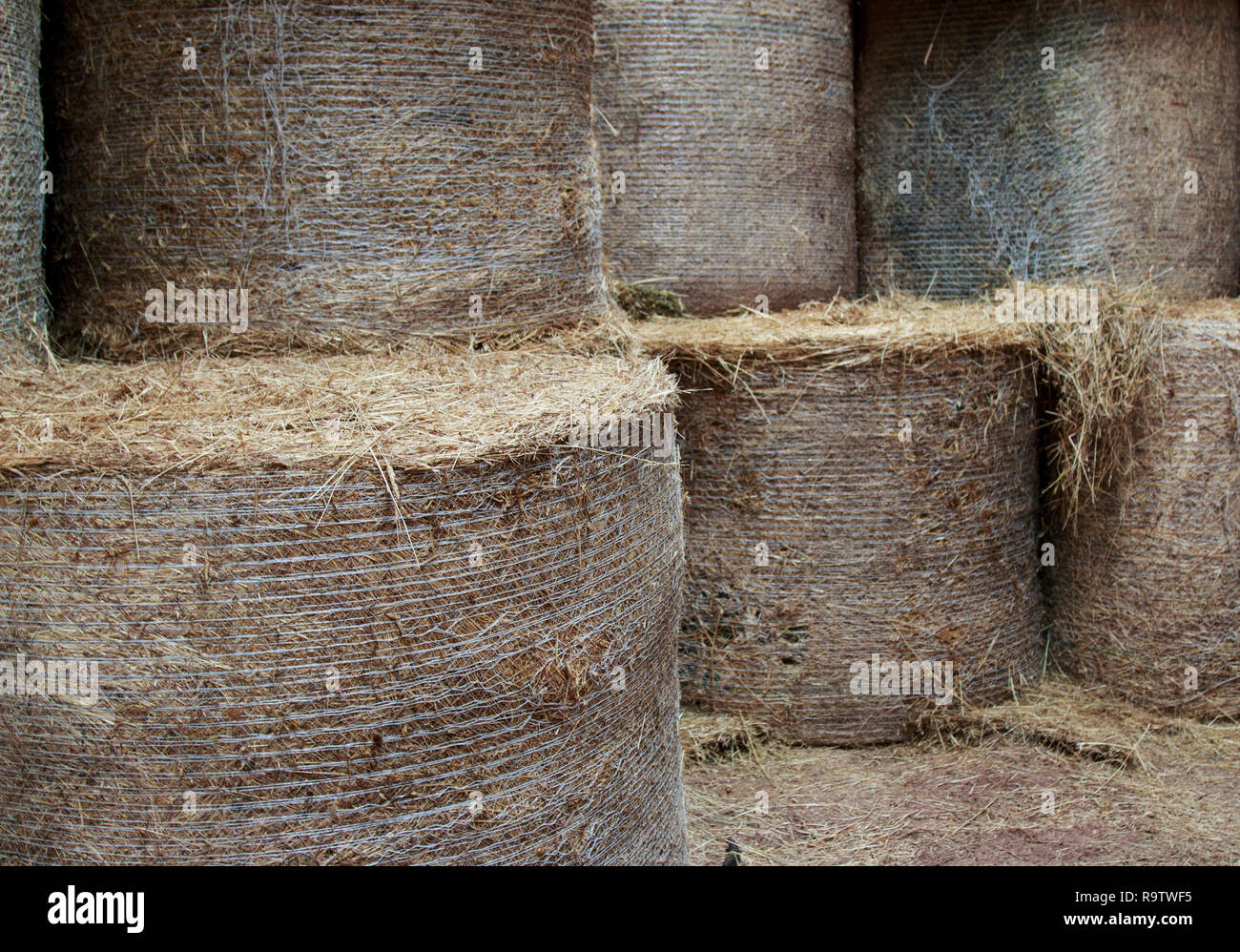 Hauling round bale hay hi-res stock photography and images - Alamy