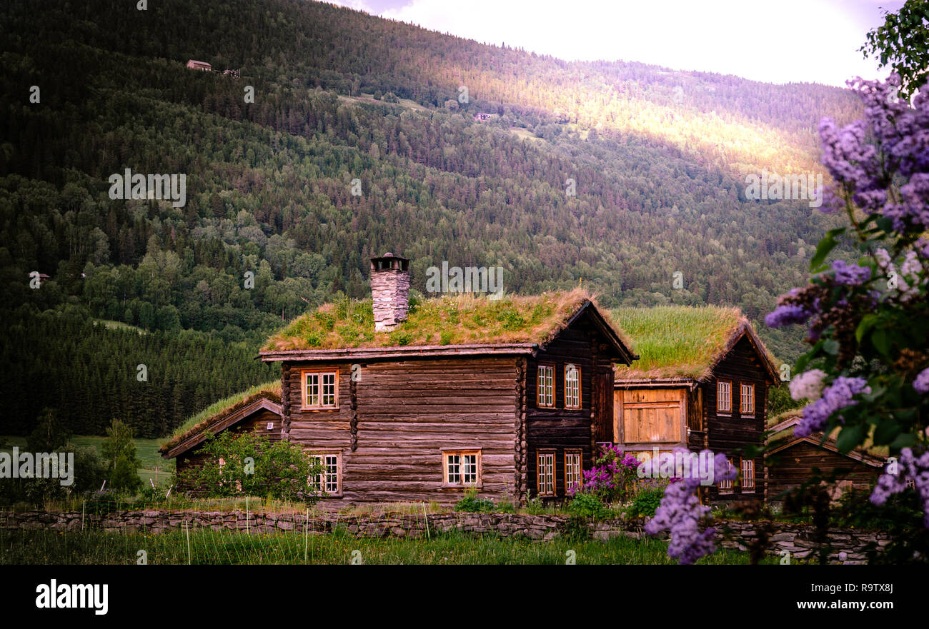 Norwegian house hi-res stock photography and images - Alamy