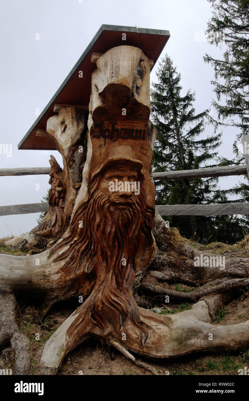 Treebeard; sculpture of bearded man carved into tree stump on ...