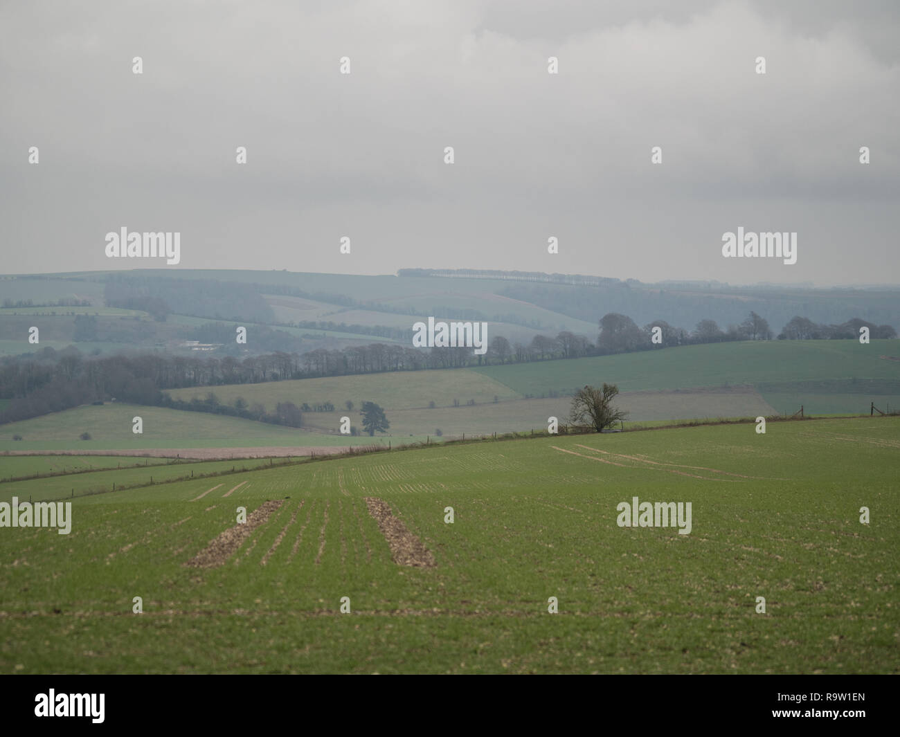 The fields above Sutton Veny, Wiltshire Stock Photo - Alamy