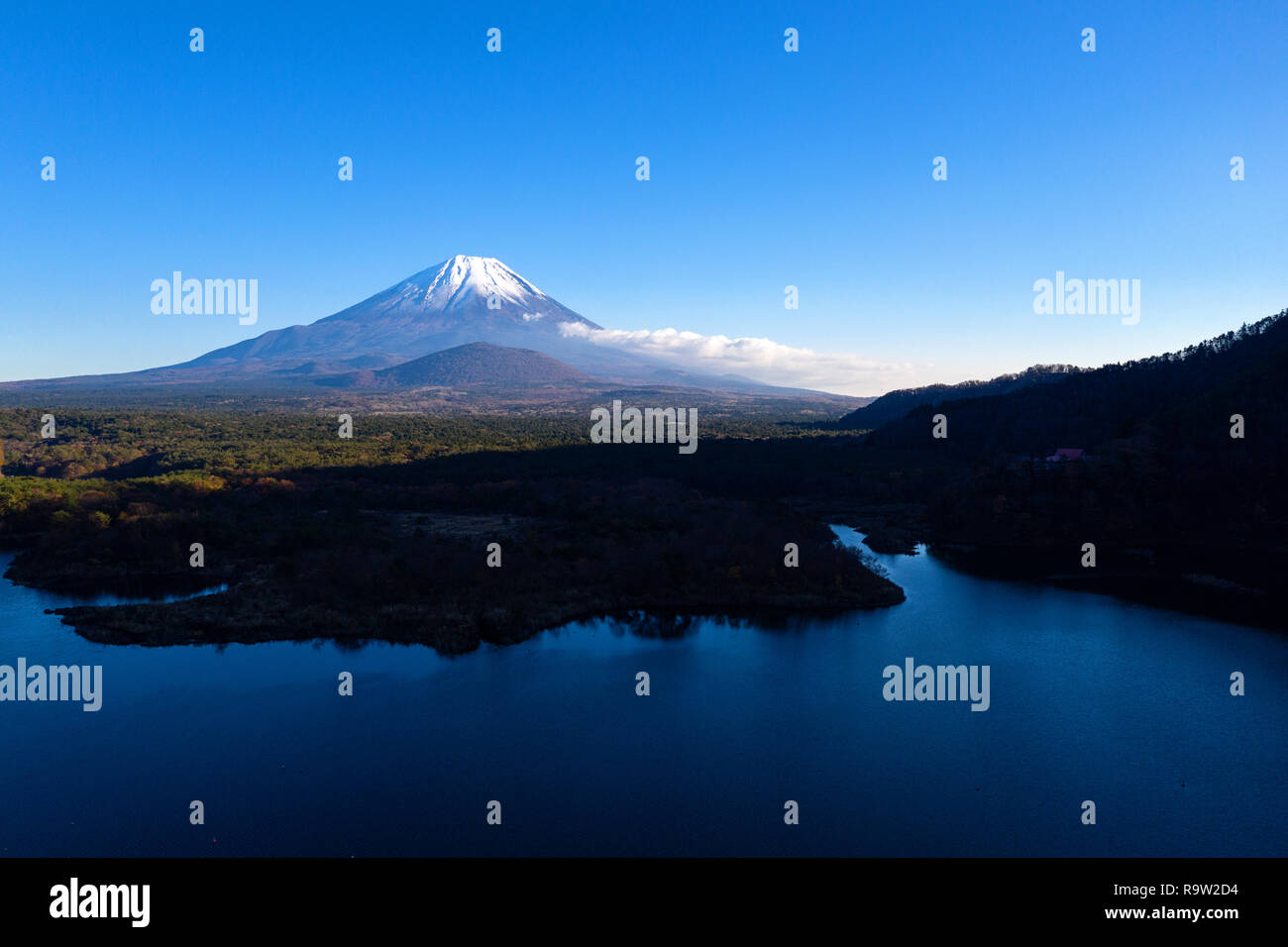 Mount Fuji at sunset at Lake Shoji in Autumn, Japan Stock Photo - Alamy