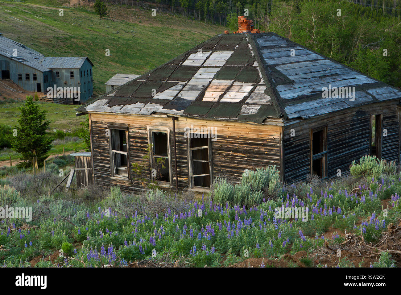Morning light on the old ghost town of Comet, Montana, USA Stock Photo ...