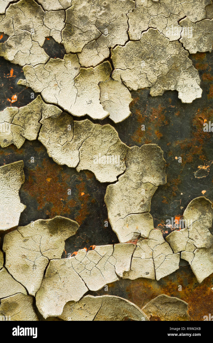 Rust and decay patterns of machinery in a Montana ghost town. USA Stock ...