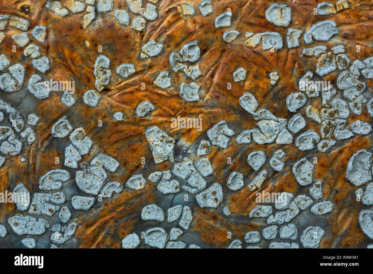 Rust and decay patterns of machinery in a Montana ghost town. USA Stock ...