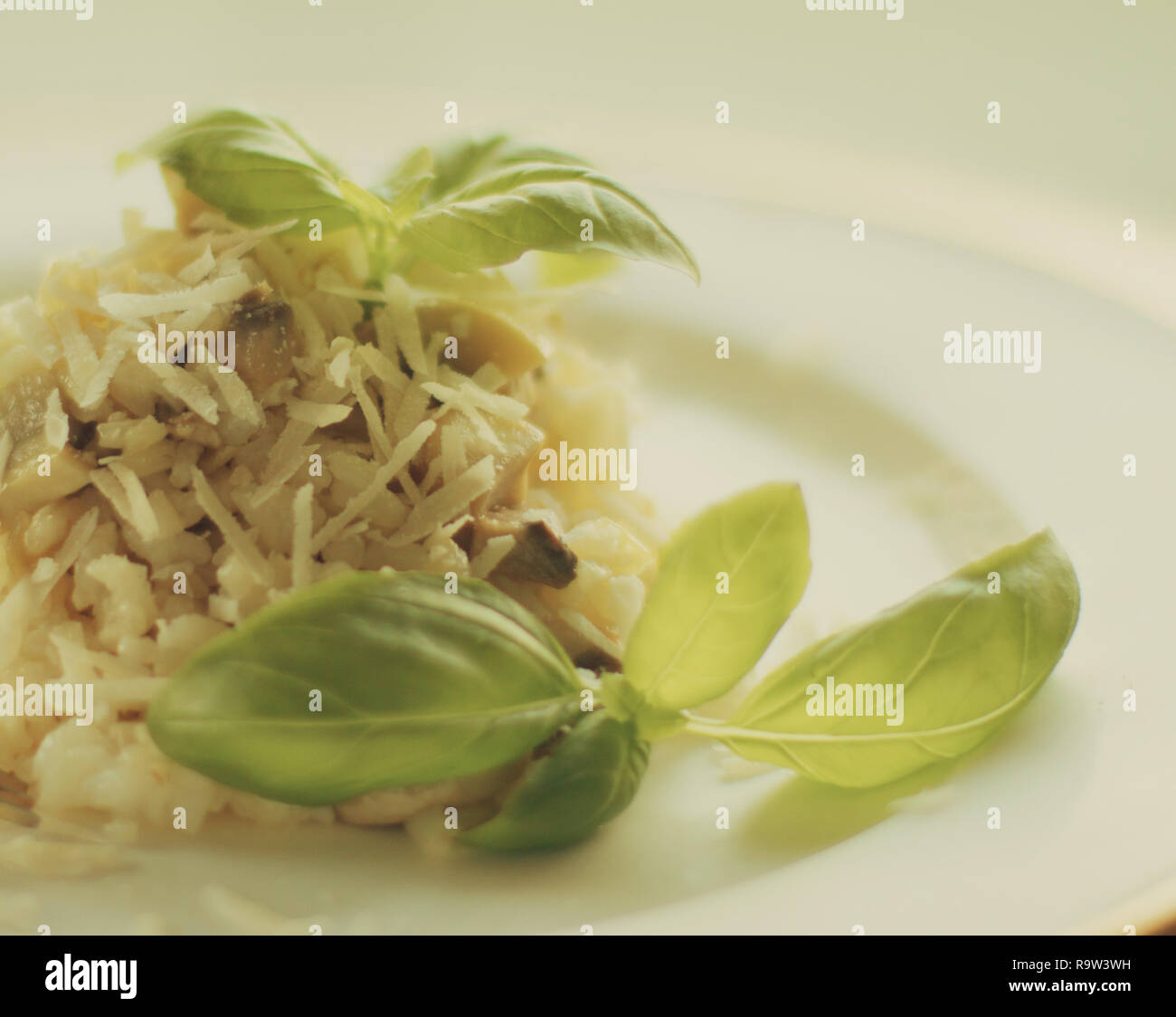 european and mediterranean cuisine styled concept - mushroom risotto ...