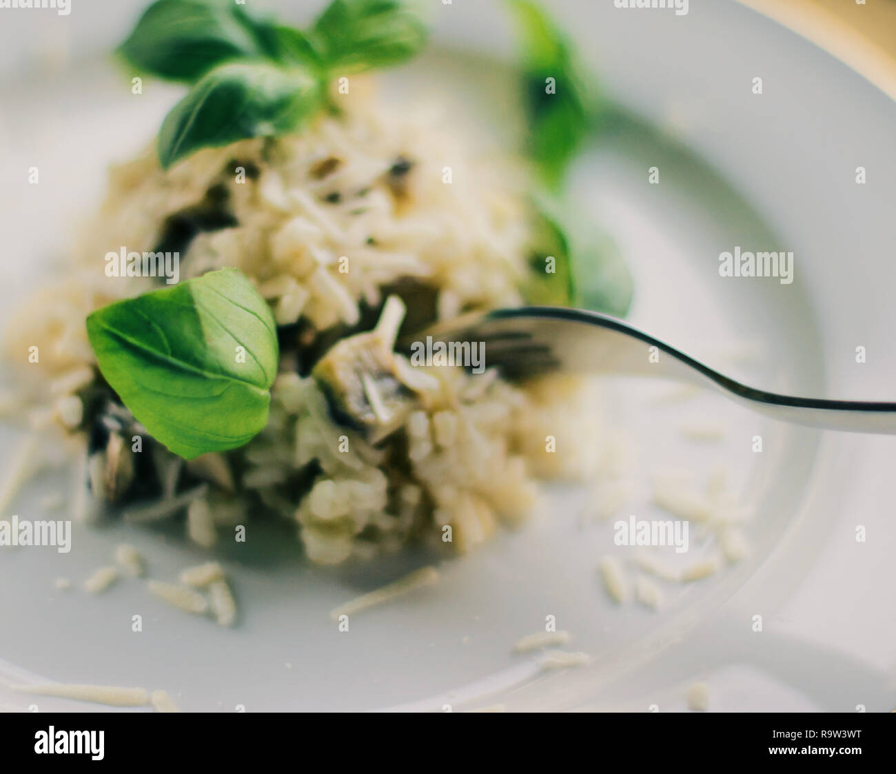 european and mediterranean cuisine styled concept - mushroom risotto ...