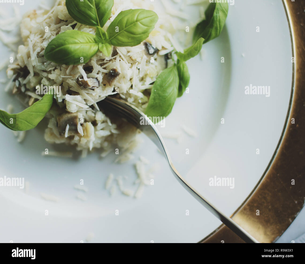 european and mediterranean cuisine styled concept - mushroom risotto ...