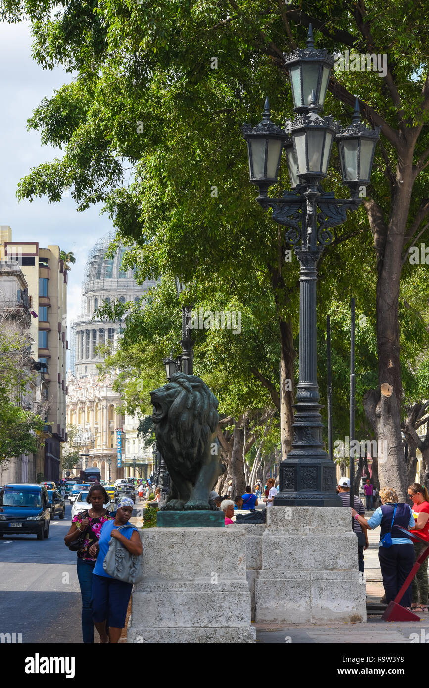 Pardo people hi-res stock photography and images - Alamy