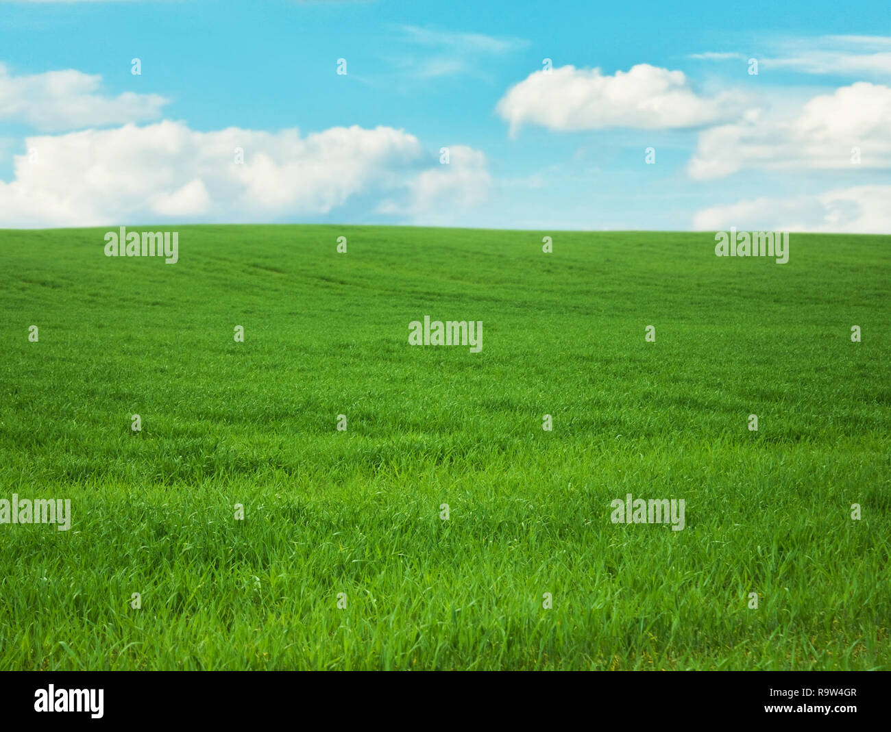 spring landscape scenery - beauty in nature, landscapes and environment ...