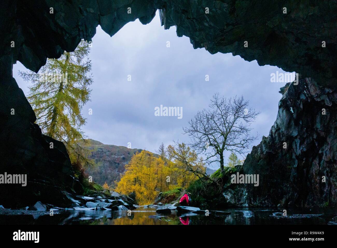 Whale jaws hi-res stock photography and images - Alamy