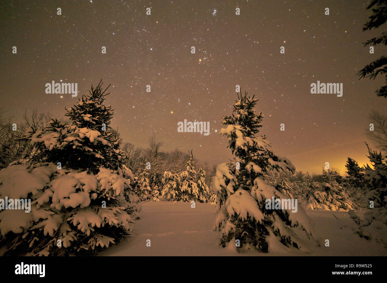 Starry winter night in the Upper Peninsula of Michigan Stock Photo - Alamy
