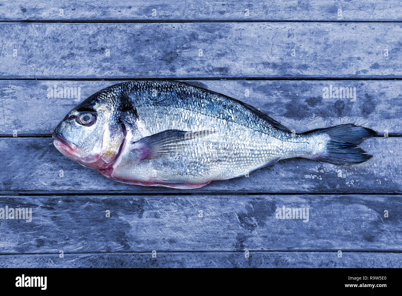 Fish on the table hi-res stock photography and images - Alamy
