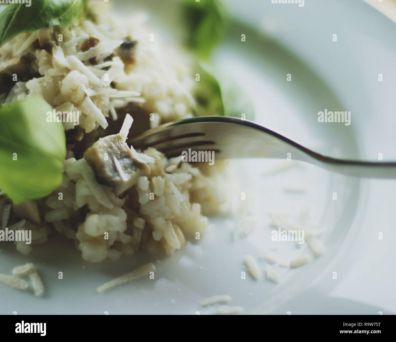 european and mediterranean cuisine styled concept - mushroom risotto ...