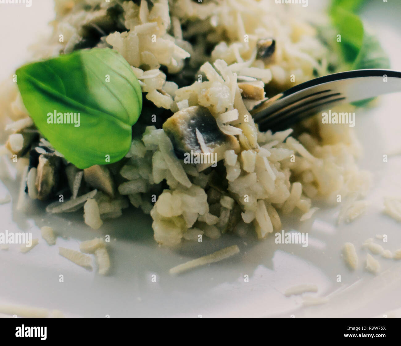 european and mediterranean cuisine styled concept - mushroom risotto ...