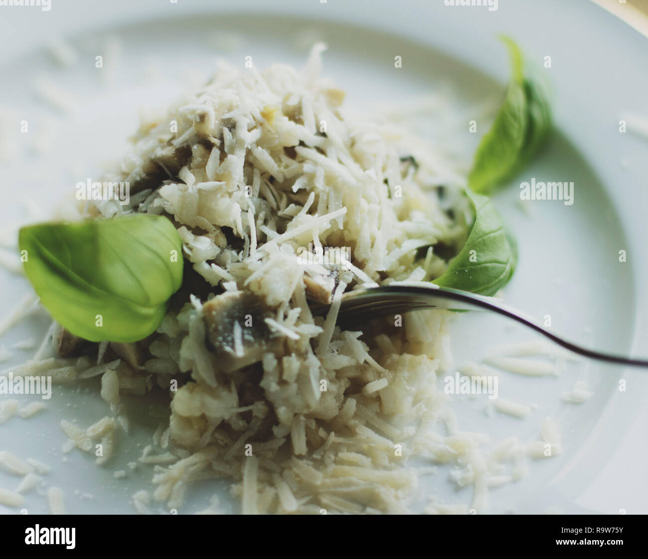 european and mediterranean cuisine styled concept - mushroom risotto ...