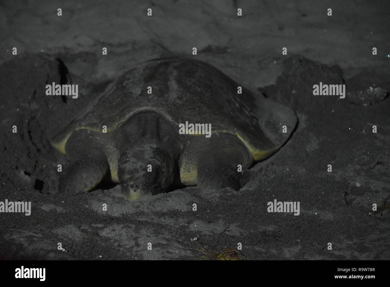 The beauty of Morong, Bataan, Philippines Stock Photo - Alamy