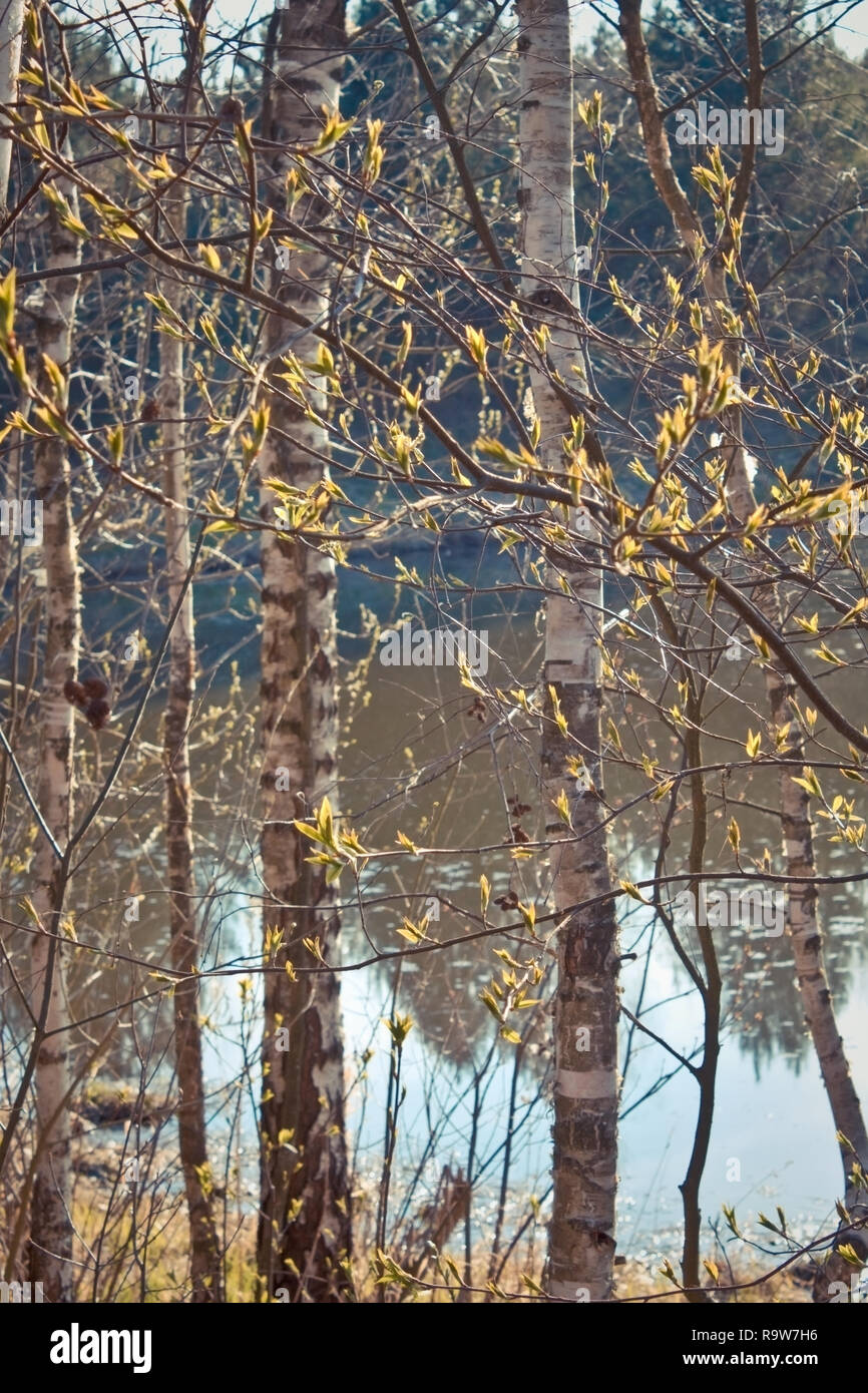 fall scenery, beauty of autumn - nature and environment concept ...