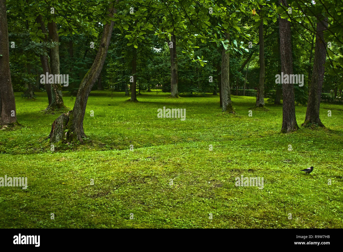 spring landscape scenery - beauty in nature, landscapes and environment ...