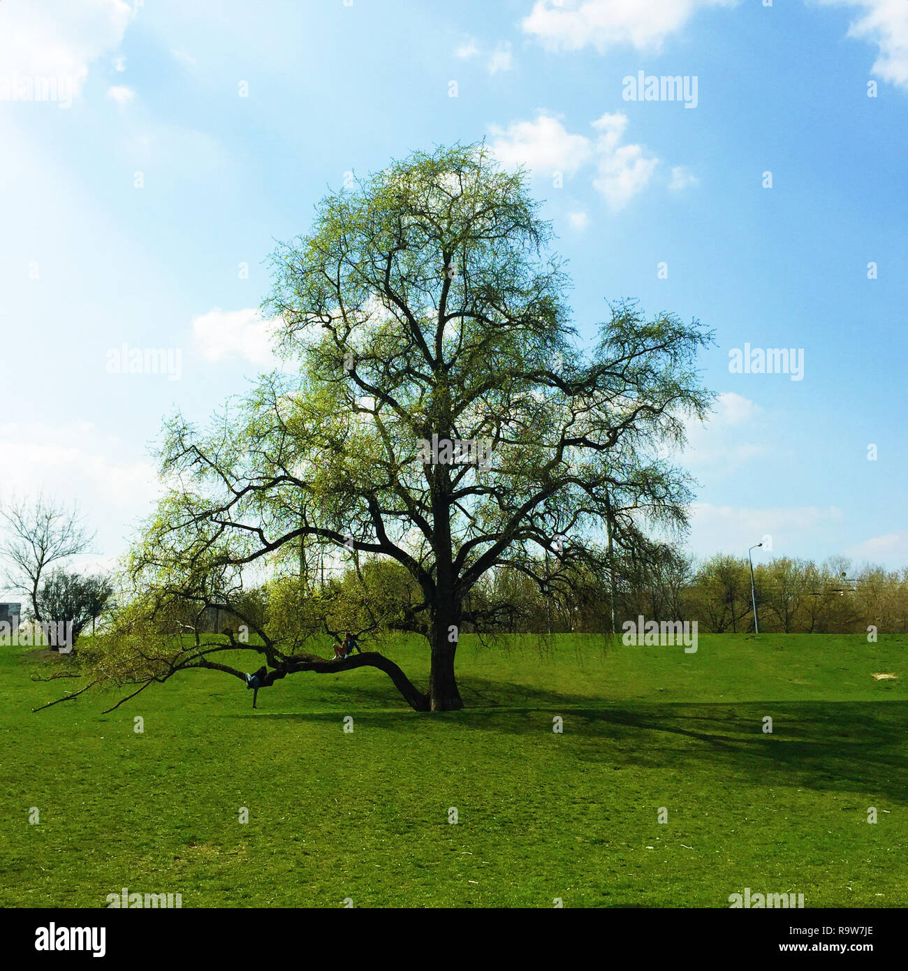 spring landscape scenery - beauty in nature, landscapes and environment ...