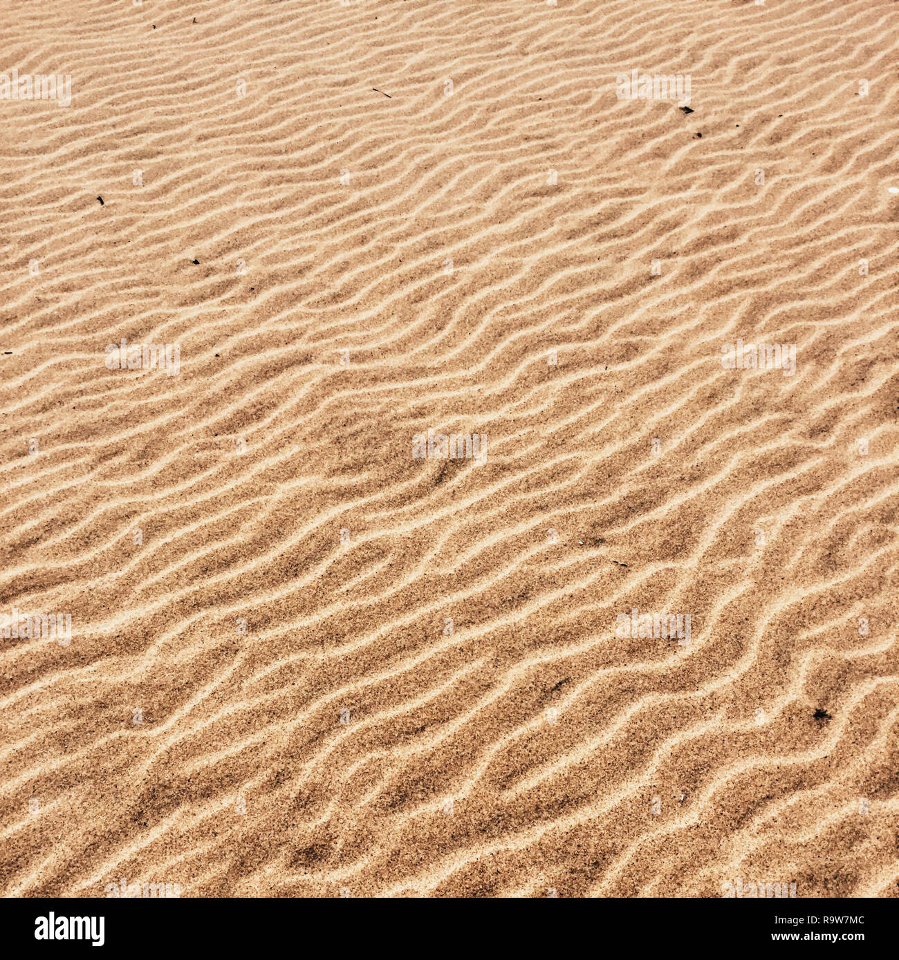 beach sand - travel, seascape, vacation and summer holidays concept ...