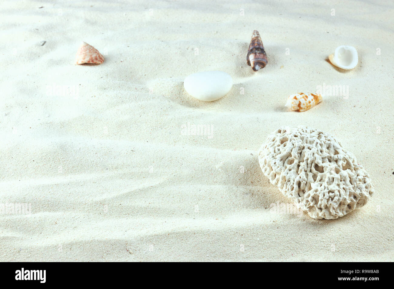 Shell vertical hi-res stock photography and images - Alamy