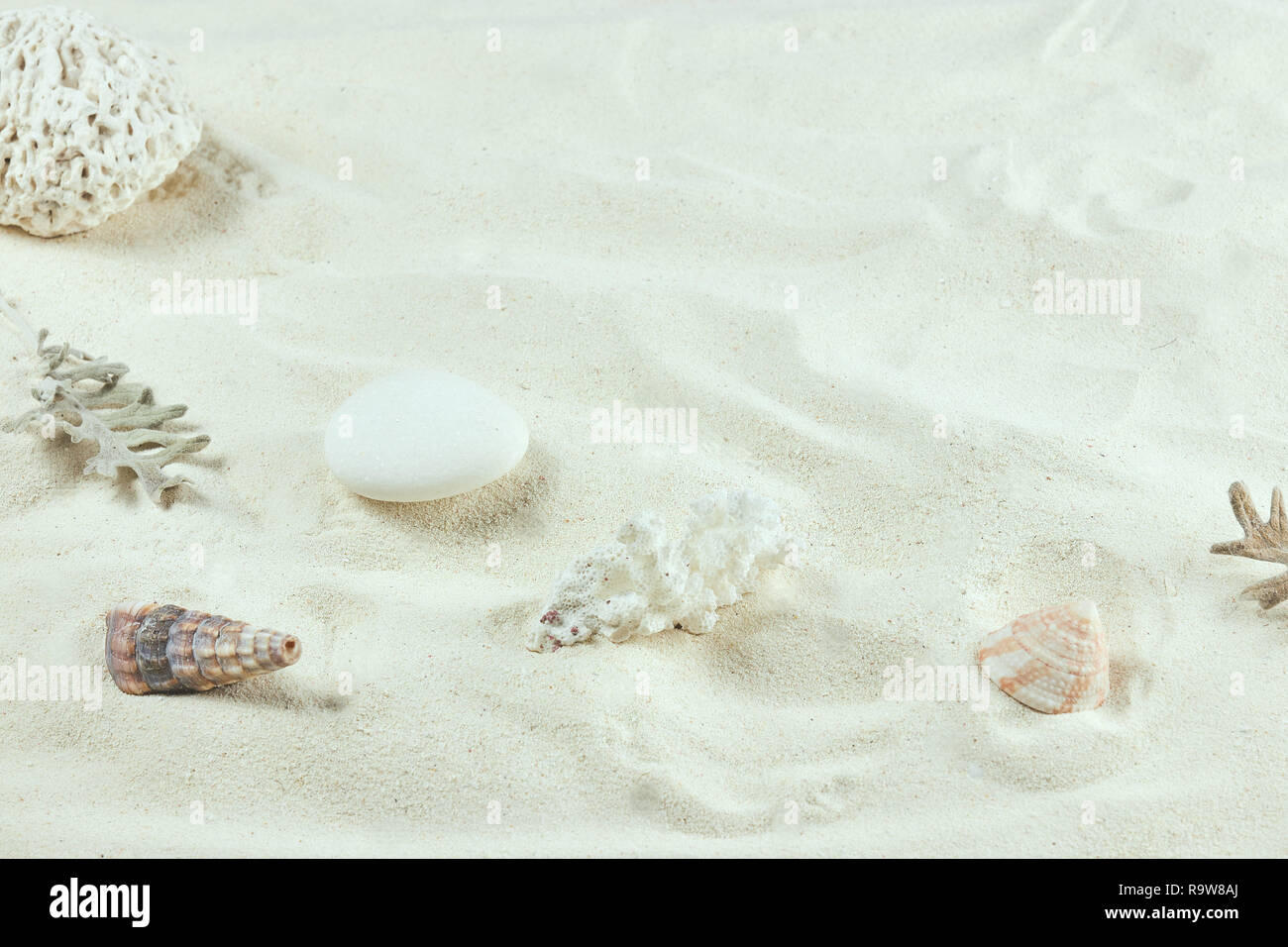 white Sand and shells. the background of the sea beach. vertical view ...