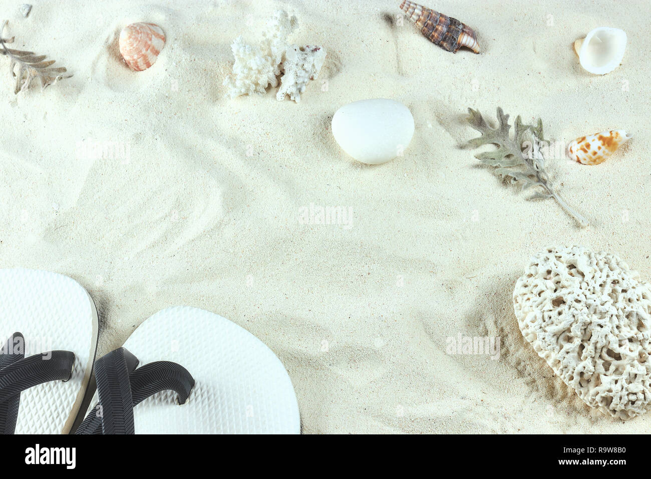 white Sand and shells. the background of the sea beach. vertical view ...