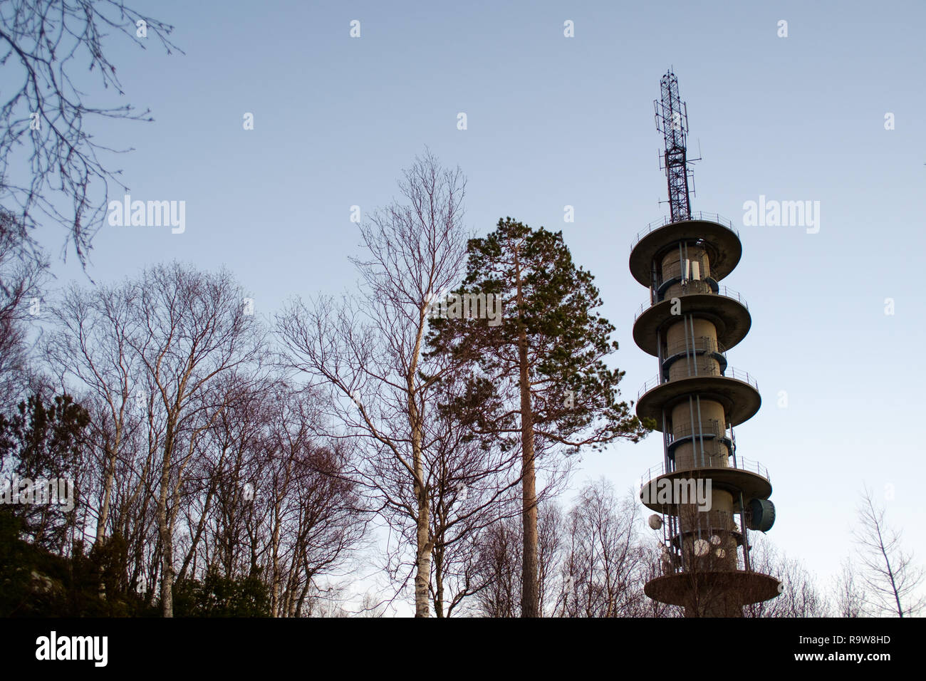 Television mast surrounded by trees on mountain top in Norway Stock ...