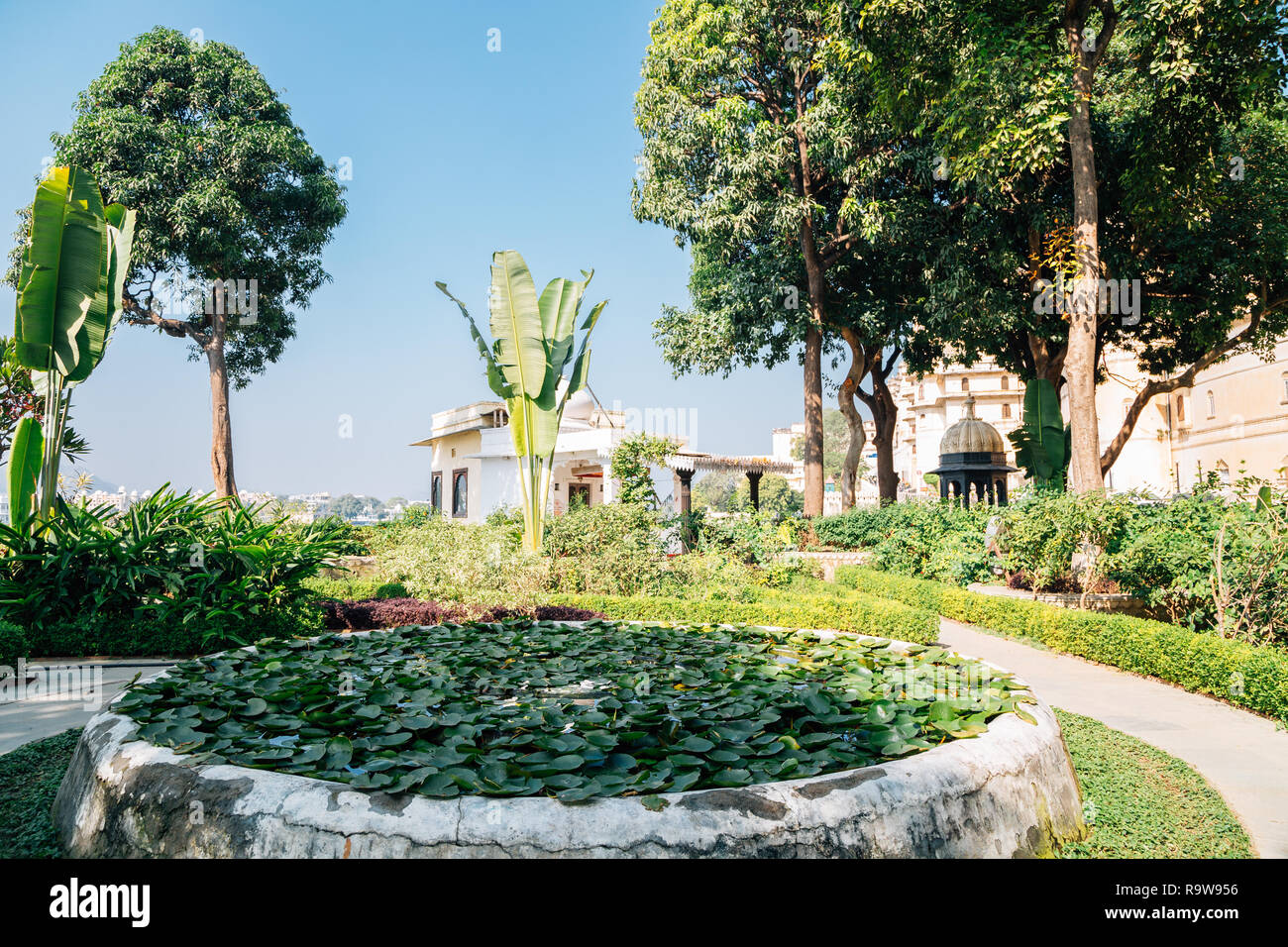 Tropical trees park near Pichola lake in Udaipur, India Stock Photo - Alamy