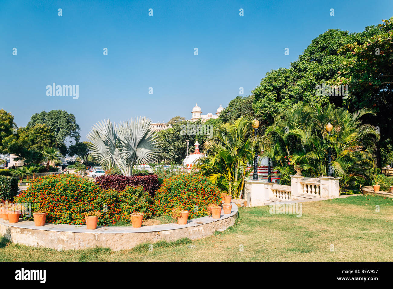 Tropical trees park near Pichola lake in Udaipur, India Stock Photo - Alamy