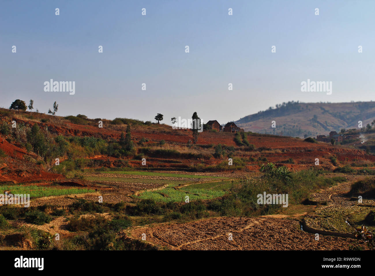 Rice terraces madagascar hi-res stock photography and images - Alamy