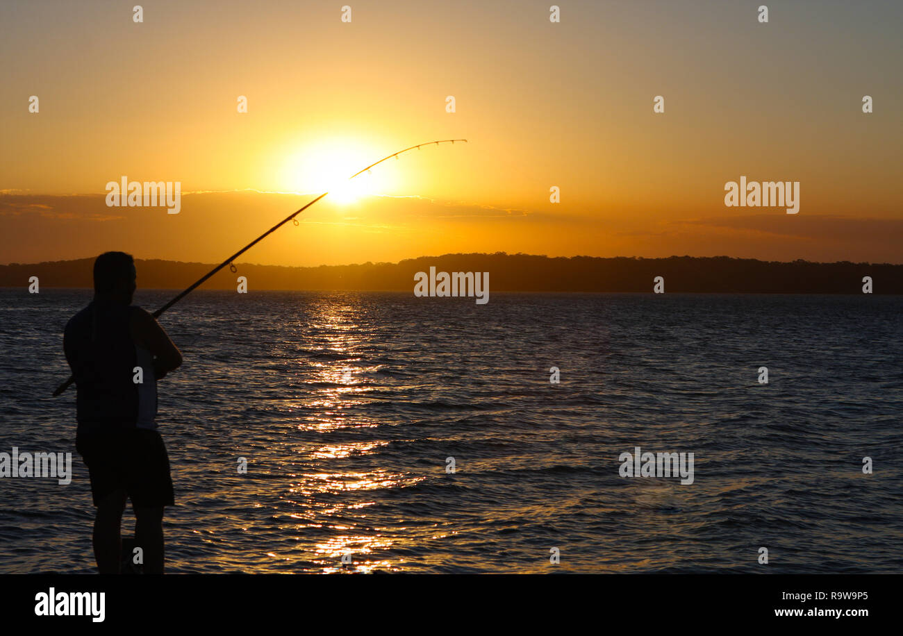 Golden fishing rod hi-res stock photography and images - Alamy