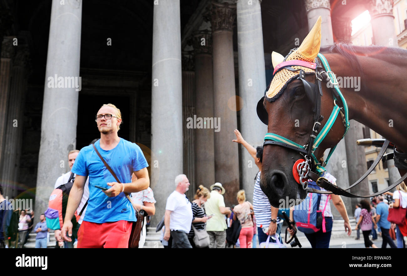 ROME, ITALY - OCTOBER 11, 2018: close-up of a horse with carriage at ...